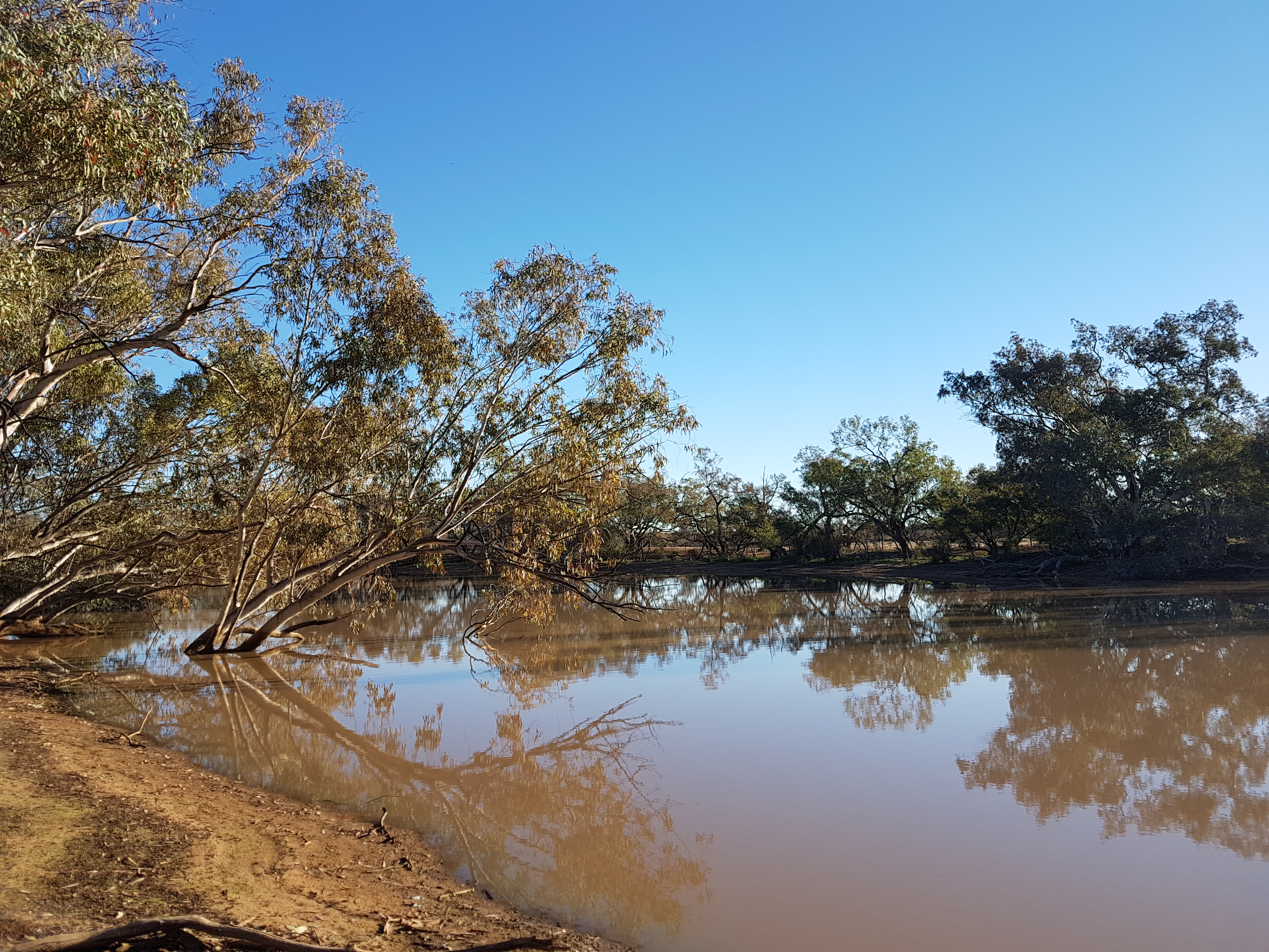 Bowra – Australian Acoustic Observatory | A2O