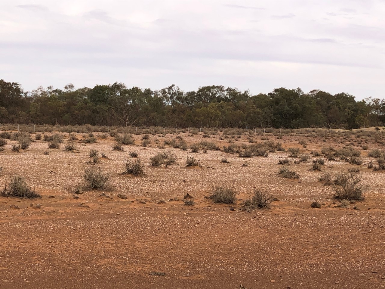 Deserts and xeric shrublands – Australian Acoustic Observatory | A20