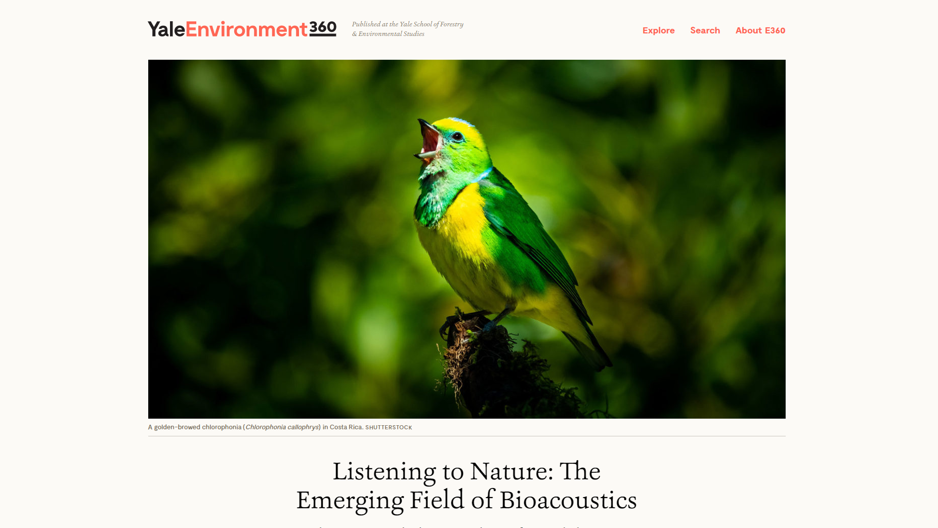 The Australian Acoustic Observatory in Yale Environment 360 ...