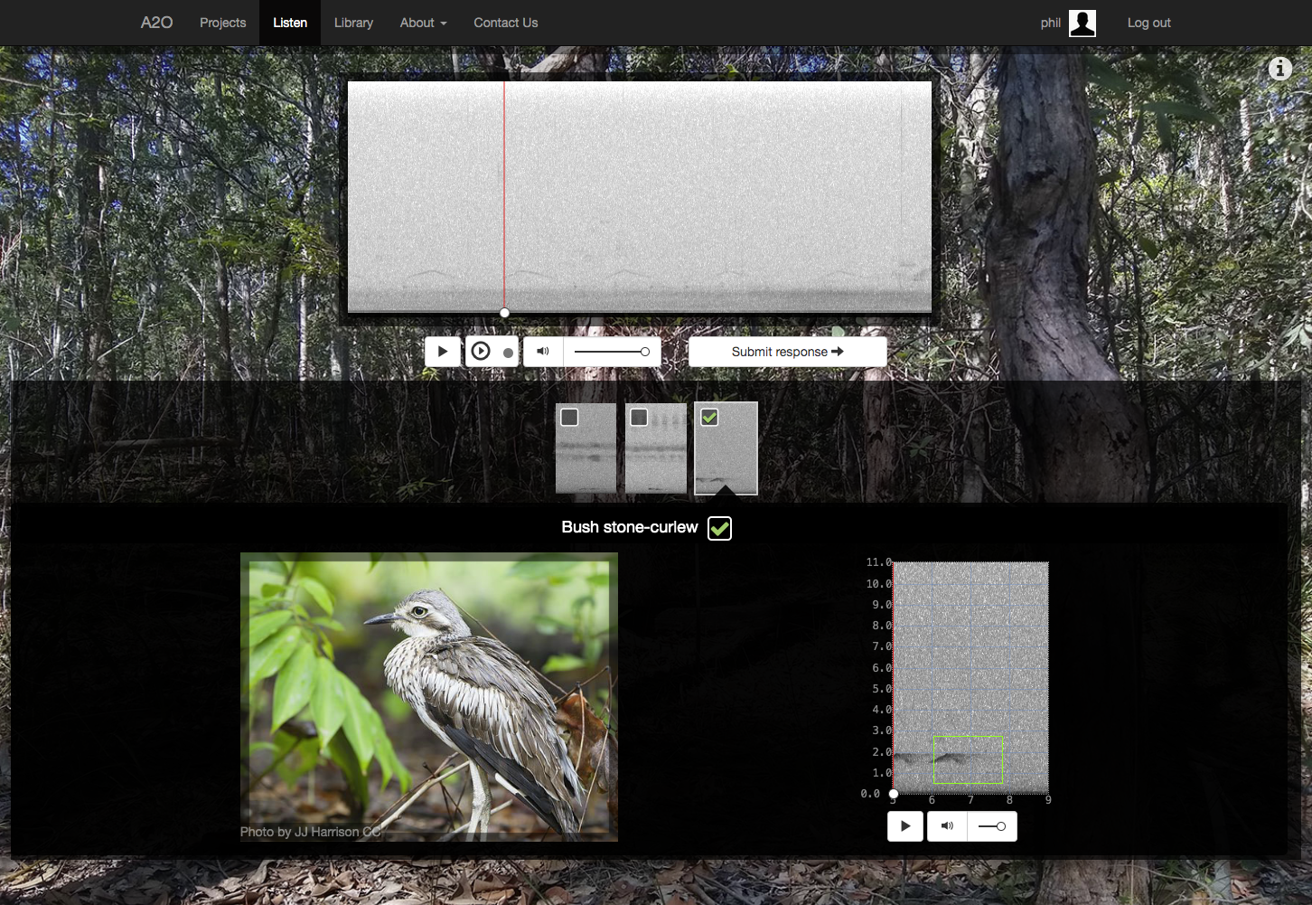 nocturnal birds – Australian Acoustic Observatory | A2O