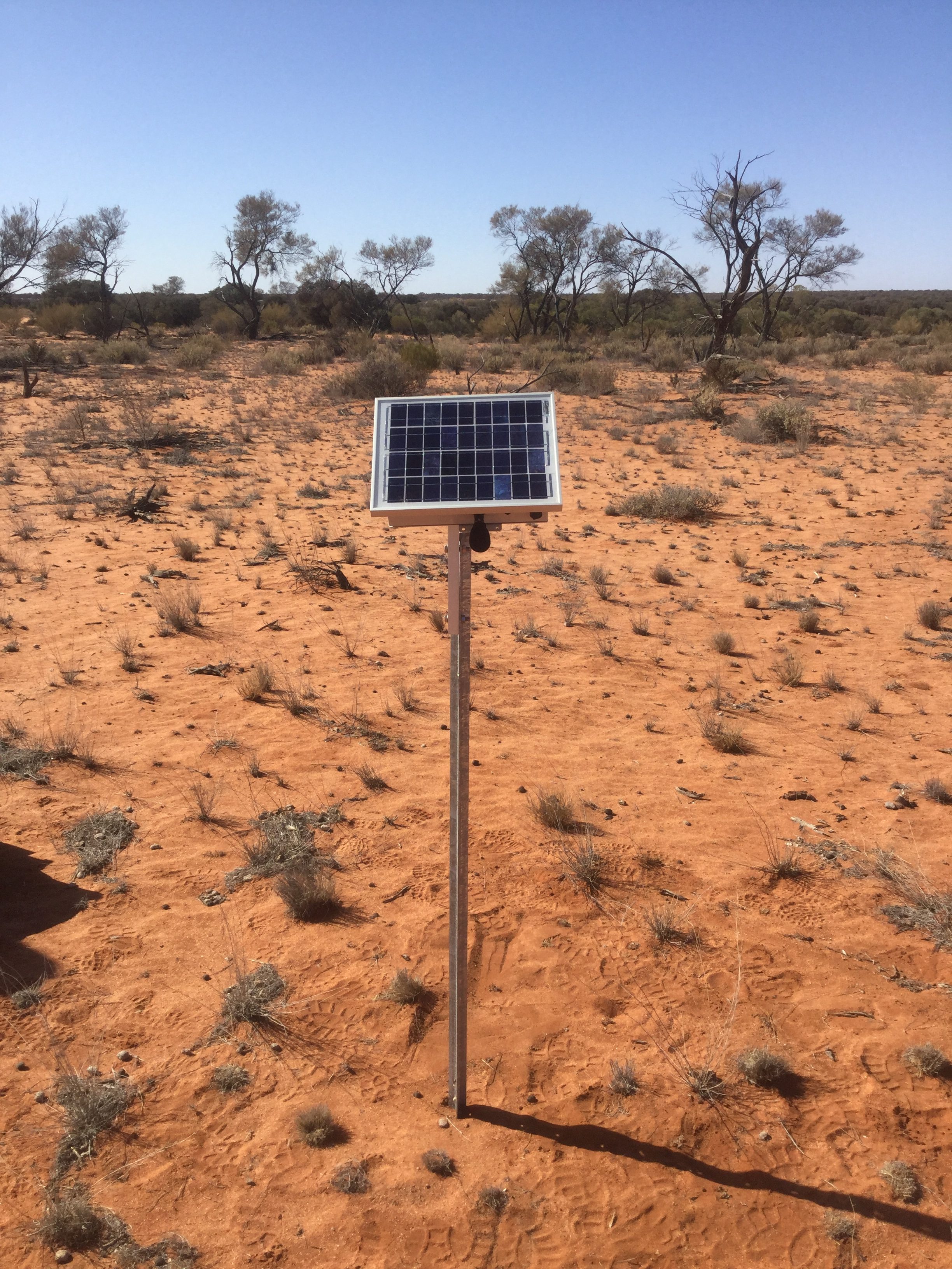 Deserts and xeric shrublands – Australian Acoustic Observatory | A20
