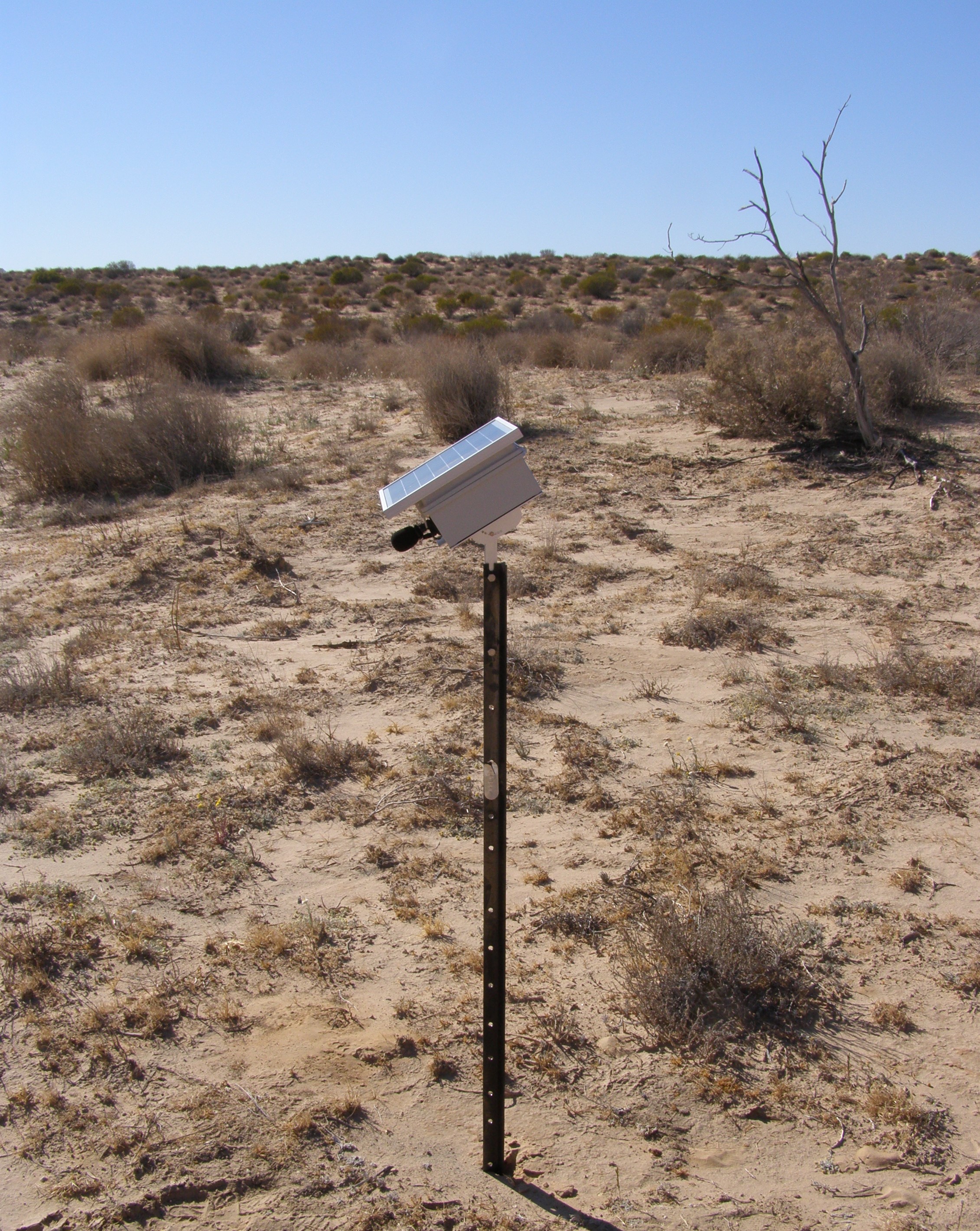 Deserts and xeric shrublands – Australian Acoustic Observatory | A20