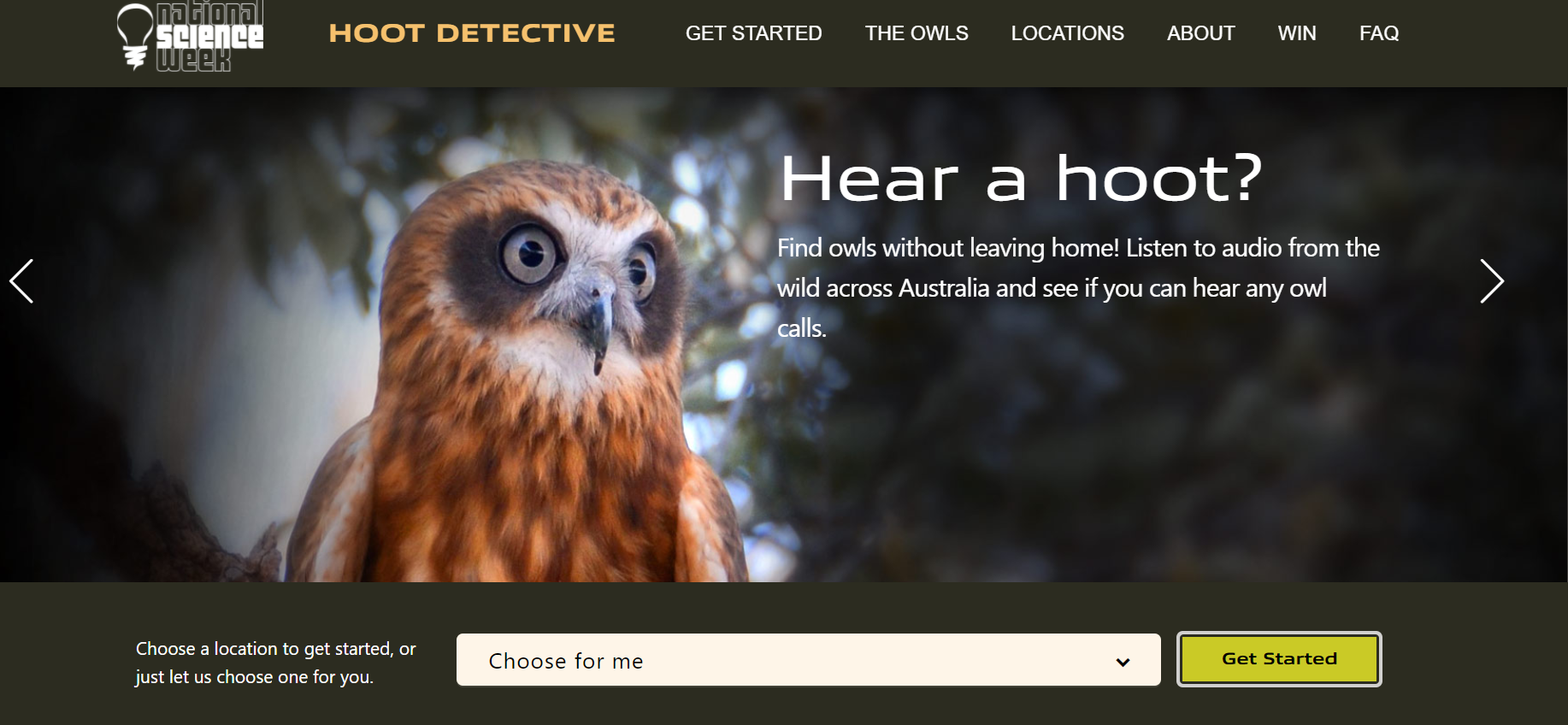Hoot Detective: A2O, ABC and UNE collaborate for National Science Week ...