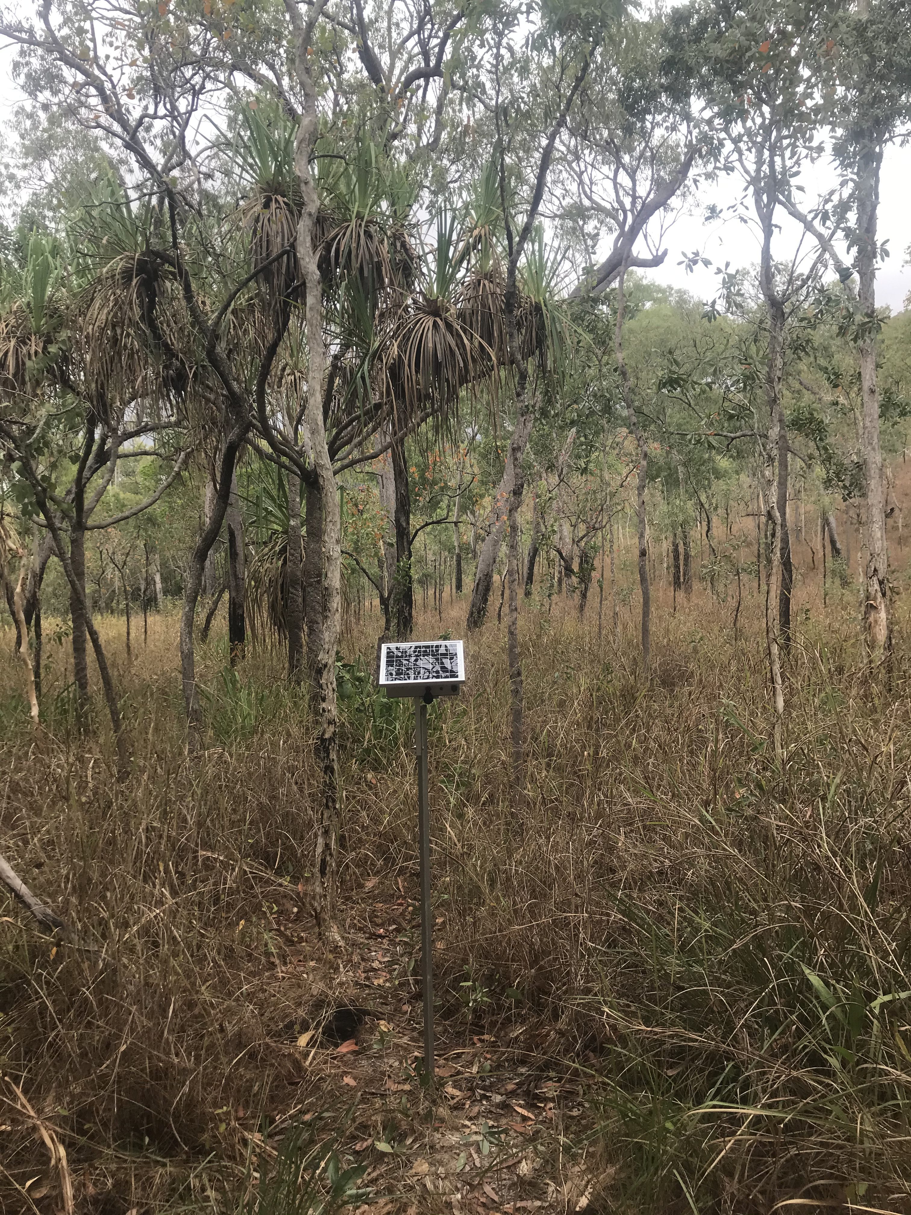 Queensland University of Technology – Australian Acoustic Observatory | A20